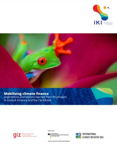 Mobilizing climate finance: Experiences and lessons learned from IKI ... Mobilizing climate finance: Experiences and lessons learned from IKI ...